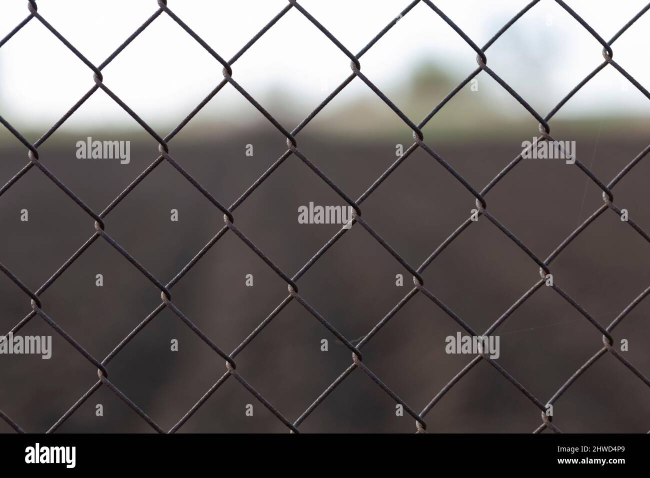 mesh fence on a rural farm, close-up fencing Stock Photo - Alamy