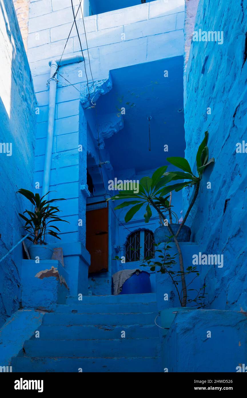 Traditional Blue coloured house of Jodhpur city, Rajsthan, India. Blue ...