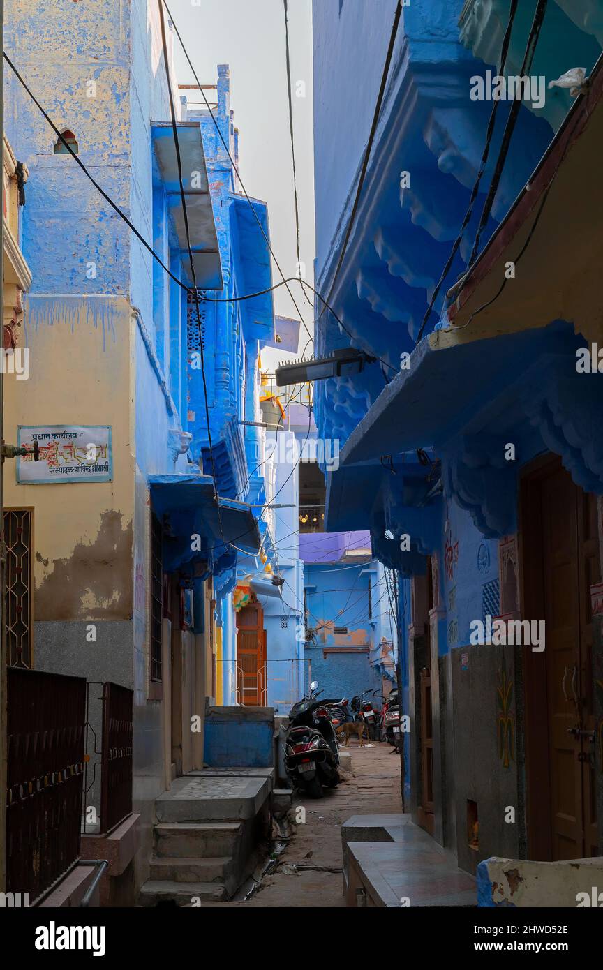 Jodhpur, Rajasthan, India - October 21st, 2019 : Traditional Blue ...