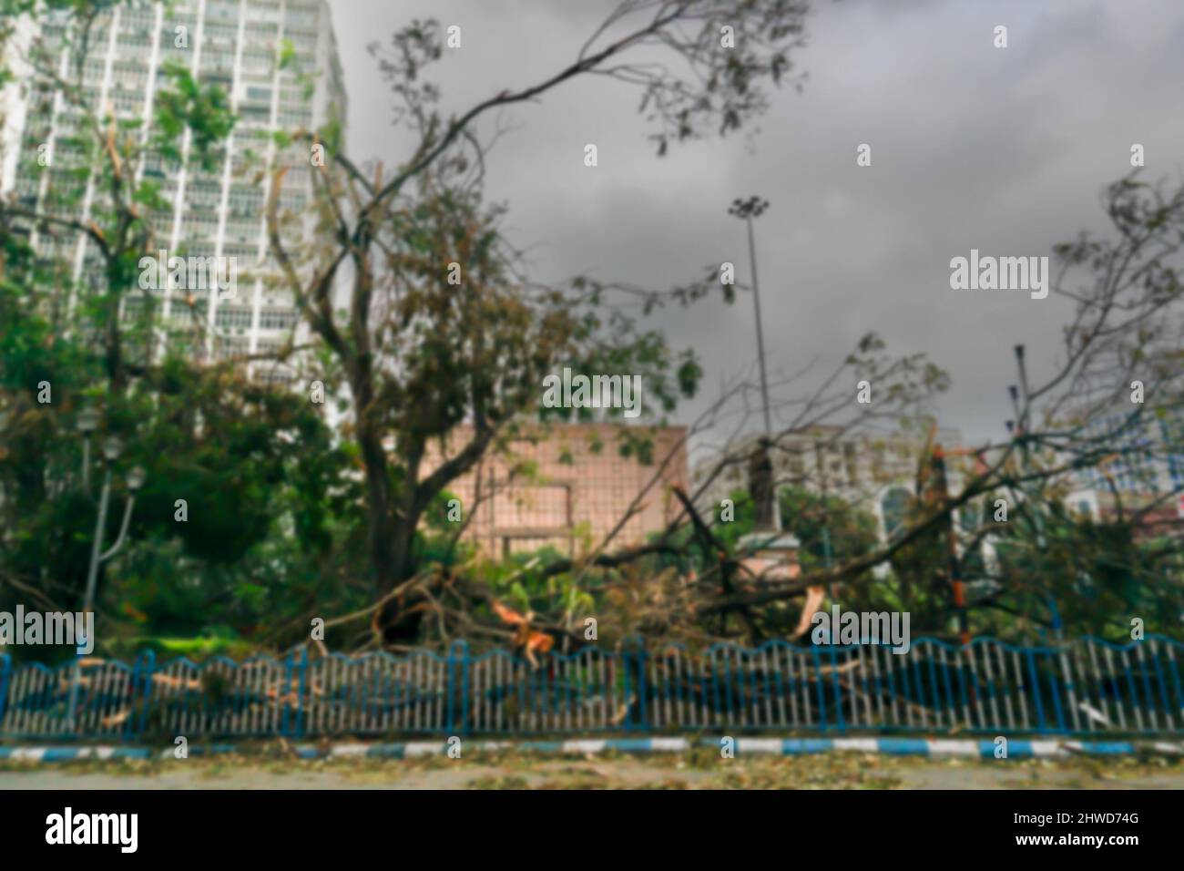 Blurred image of Super cyclone Amphan uprooted tree which fell on ...