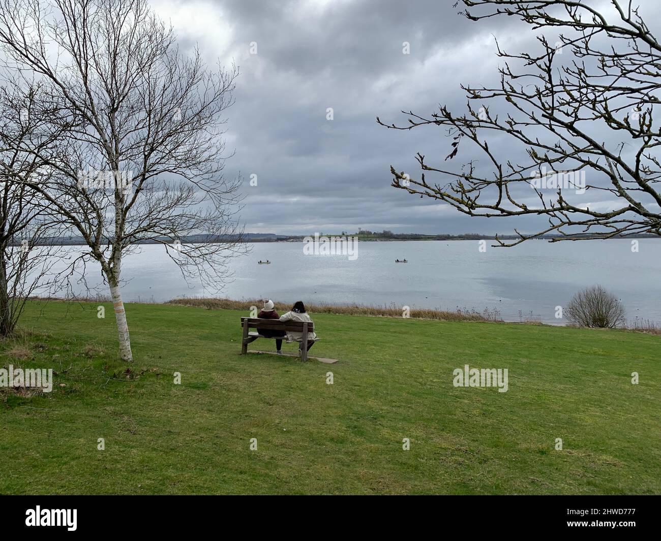 Wind tree branches in slow hi-res stock photography and images - Alamy