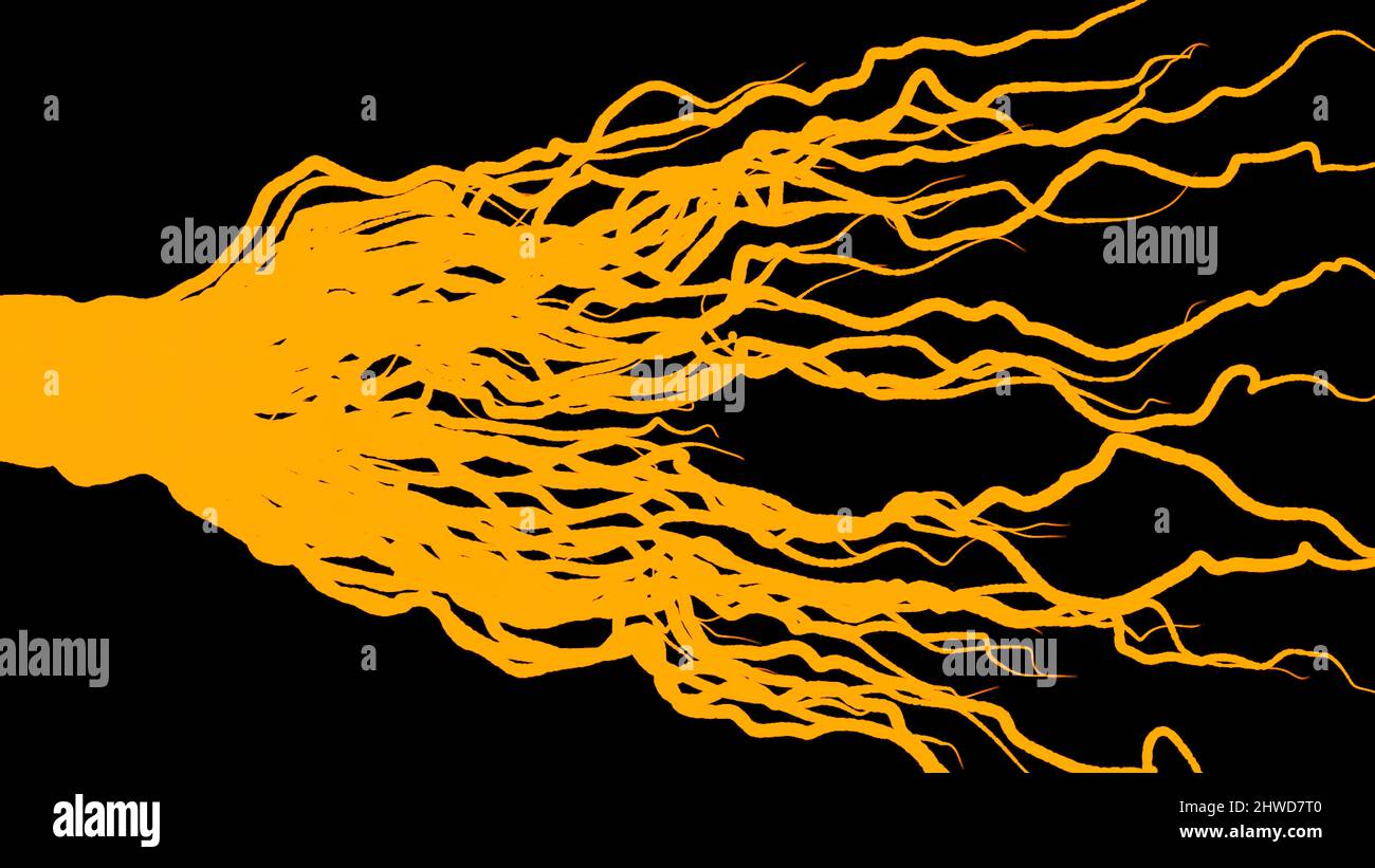 Animation of growing roots on black background. Animation. Slowly ...