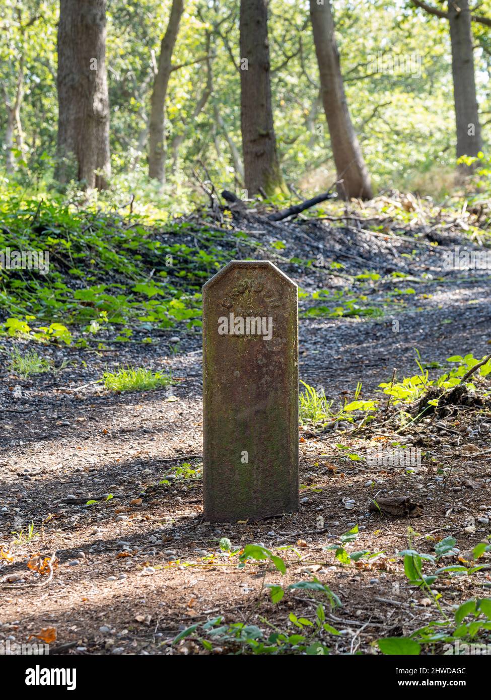 Croydon Parish Boundary Marker on Croham Hurst Stock Photo - Alamy