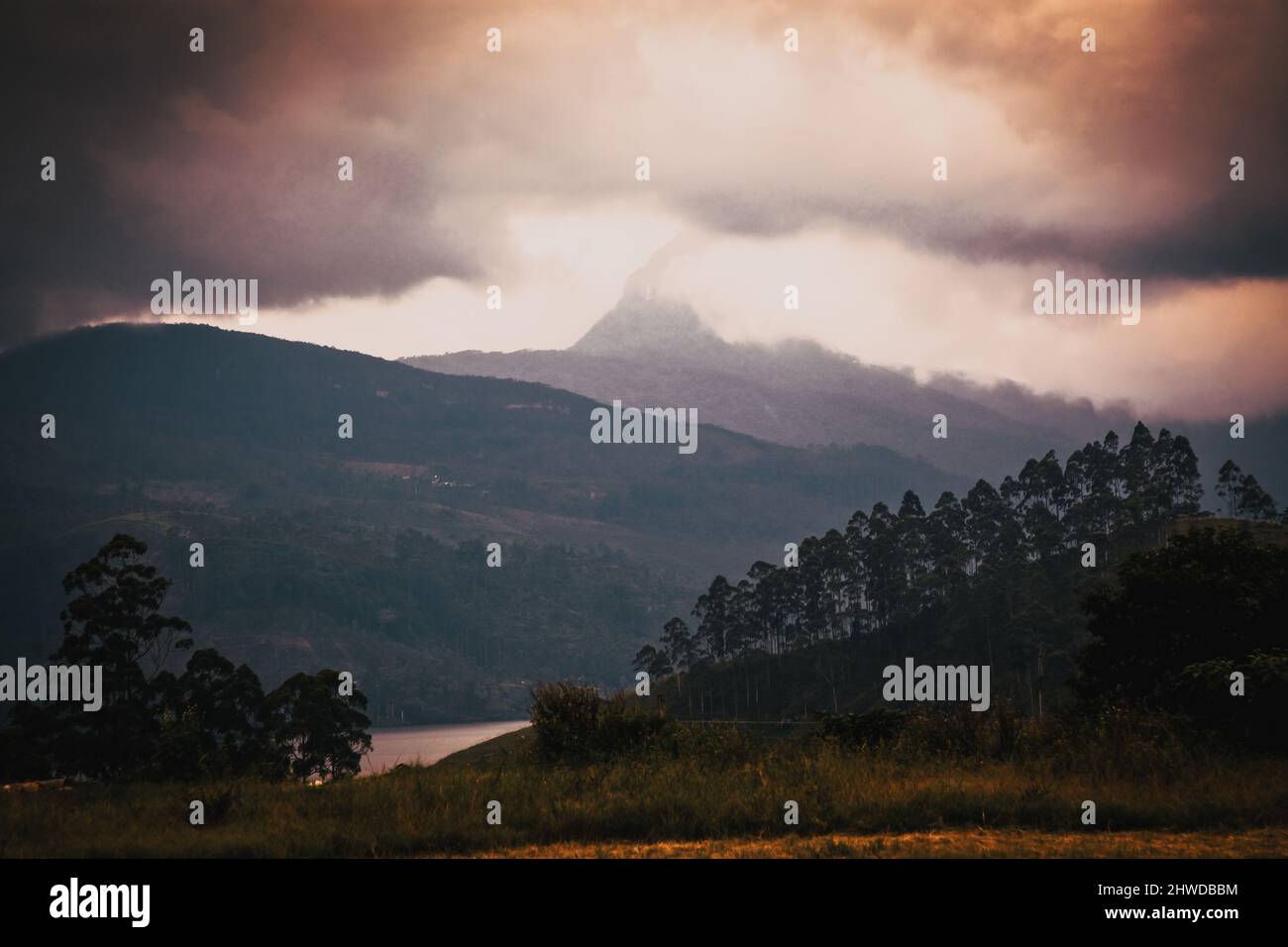 Tea plantation pond sky hi-res stock photography and images - Alamy