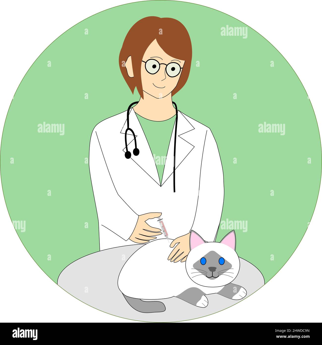 a female veterinarian injects a Birman cat against FVRCP, Rabies ...