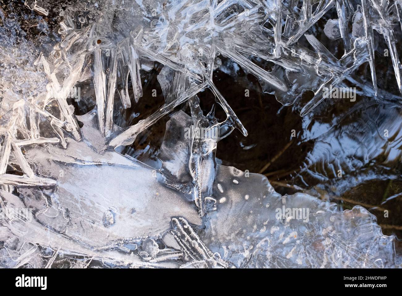 Abstract forms of ice surface in Kemeri National Park, Latvia Stock ...