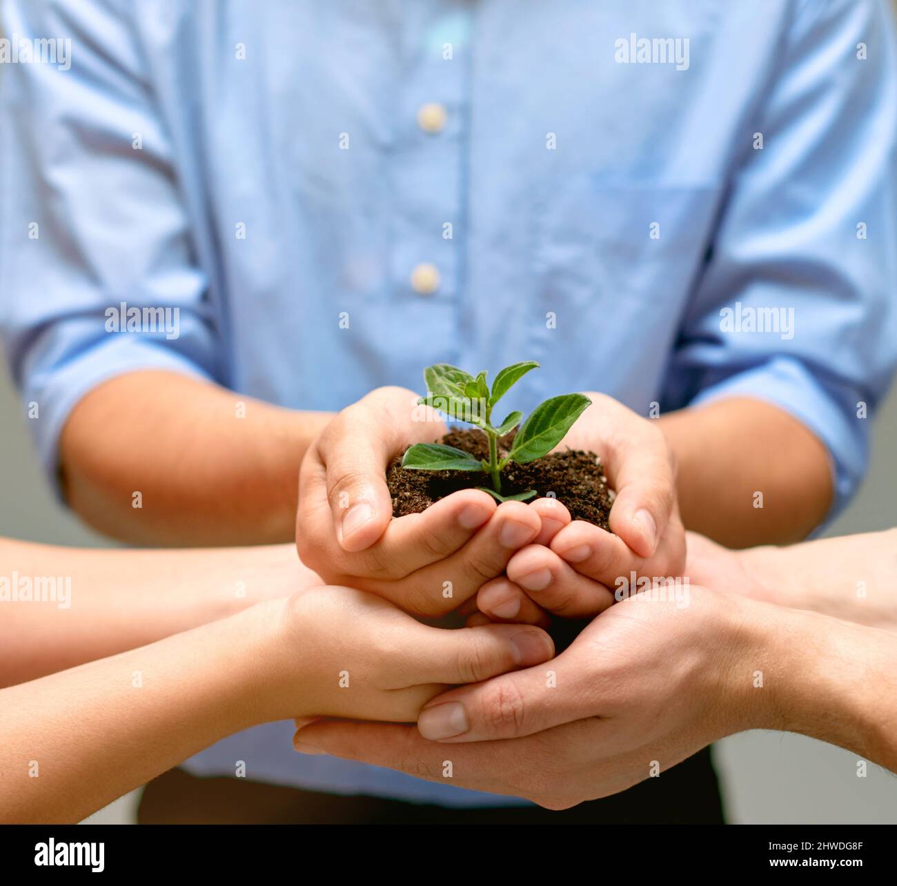 Working together towards a greener tomorrow. A cropped image of a hands ...