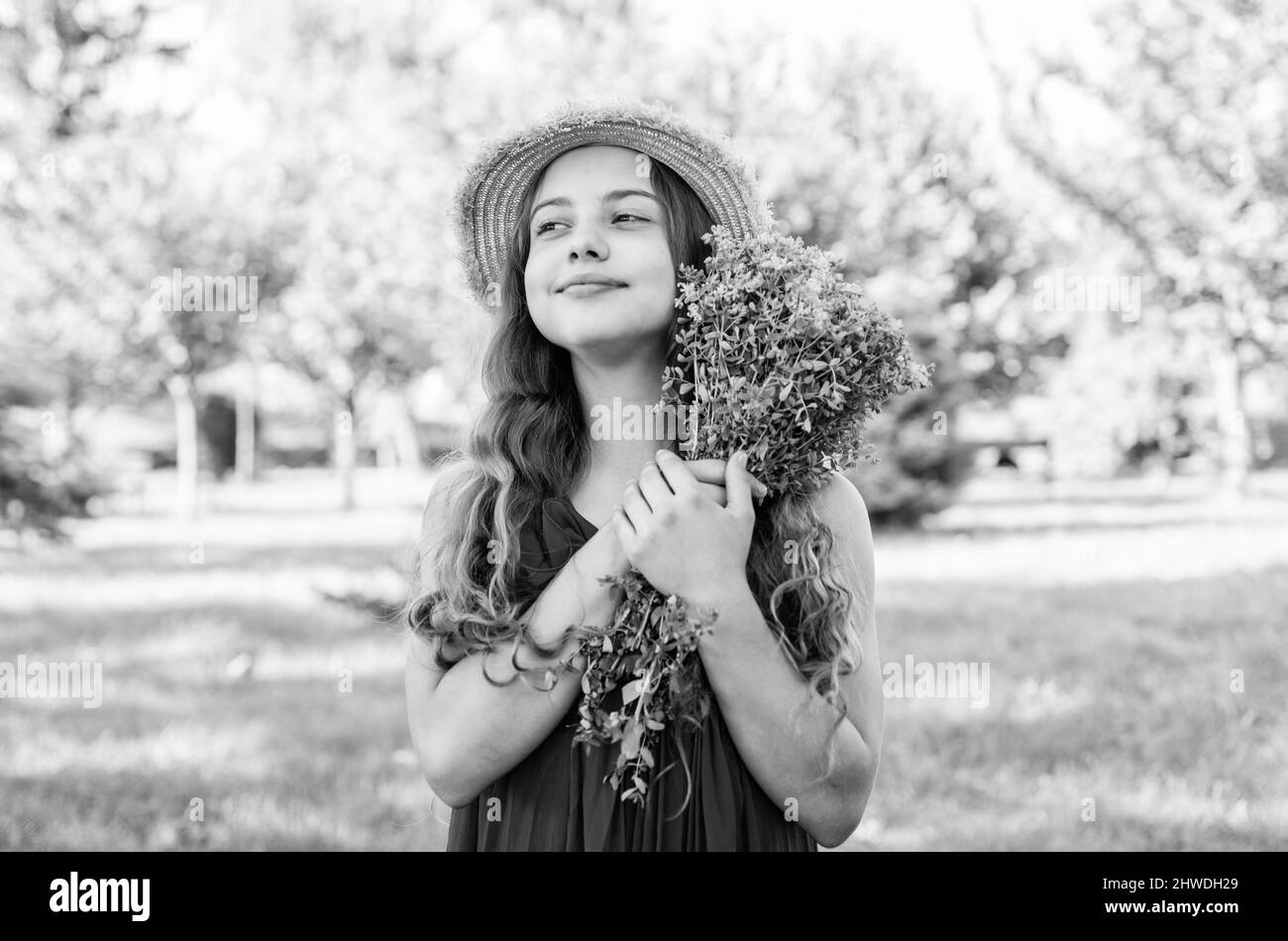 Little girl with freshly picked St. John's Wort bouquet Stock Photo - Alamy