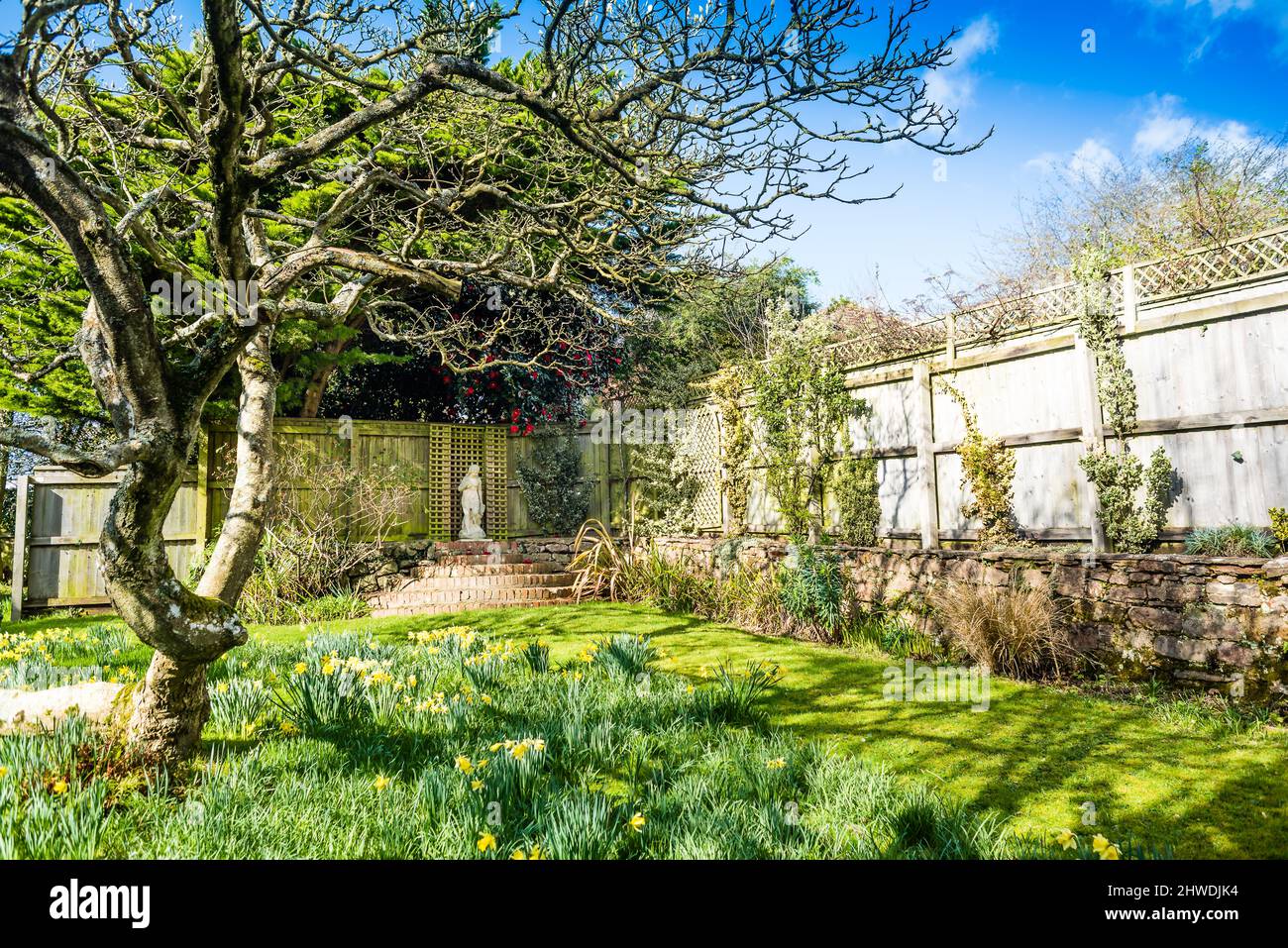 Early Spring in an English Country Garden Stock Photo - Alamy