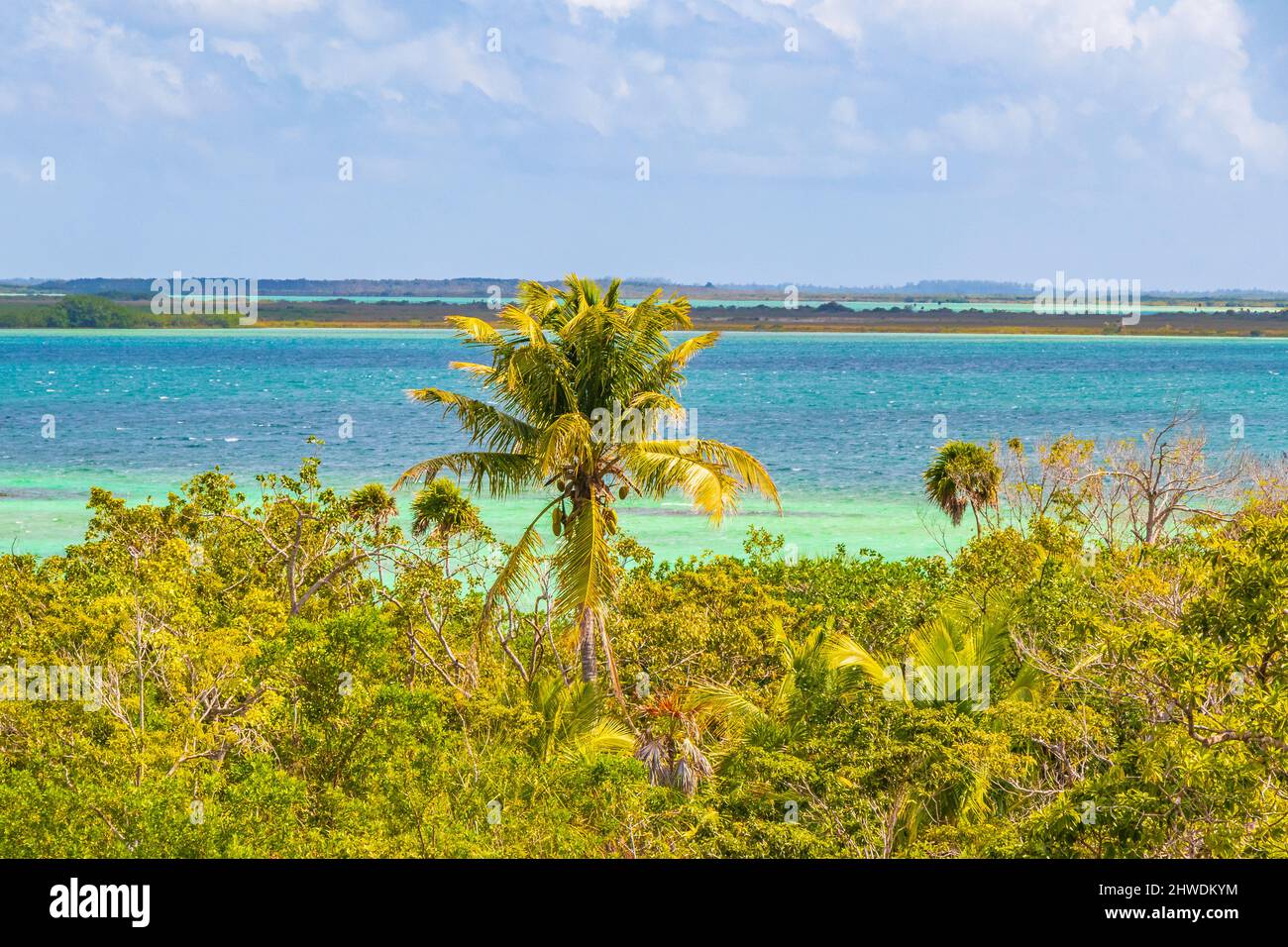 Panorama view to the Muyil Lagoon from the wooden viewpoint tower in ...