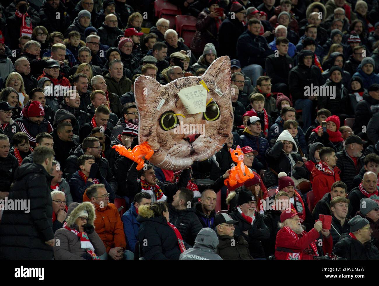 Liverpool fans in the stands with an inflatable cat head, aimed at West ...