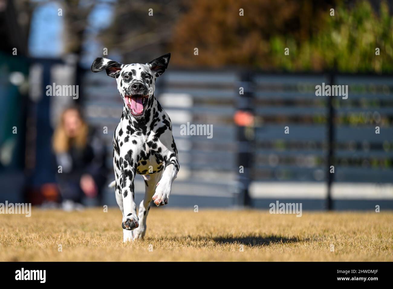 Fast captured hi-res stock photography and images - Alamy
