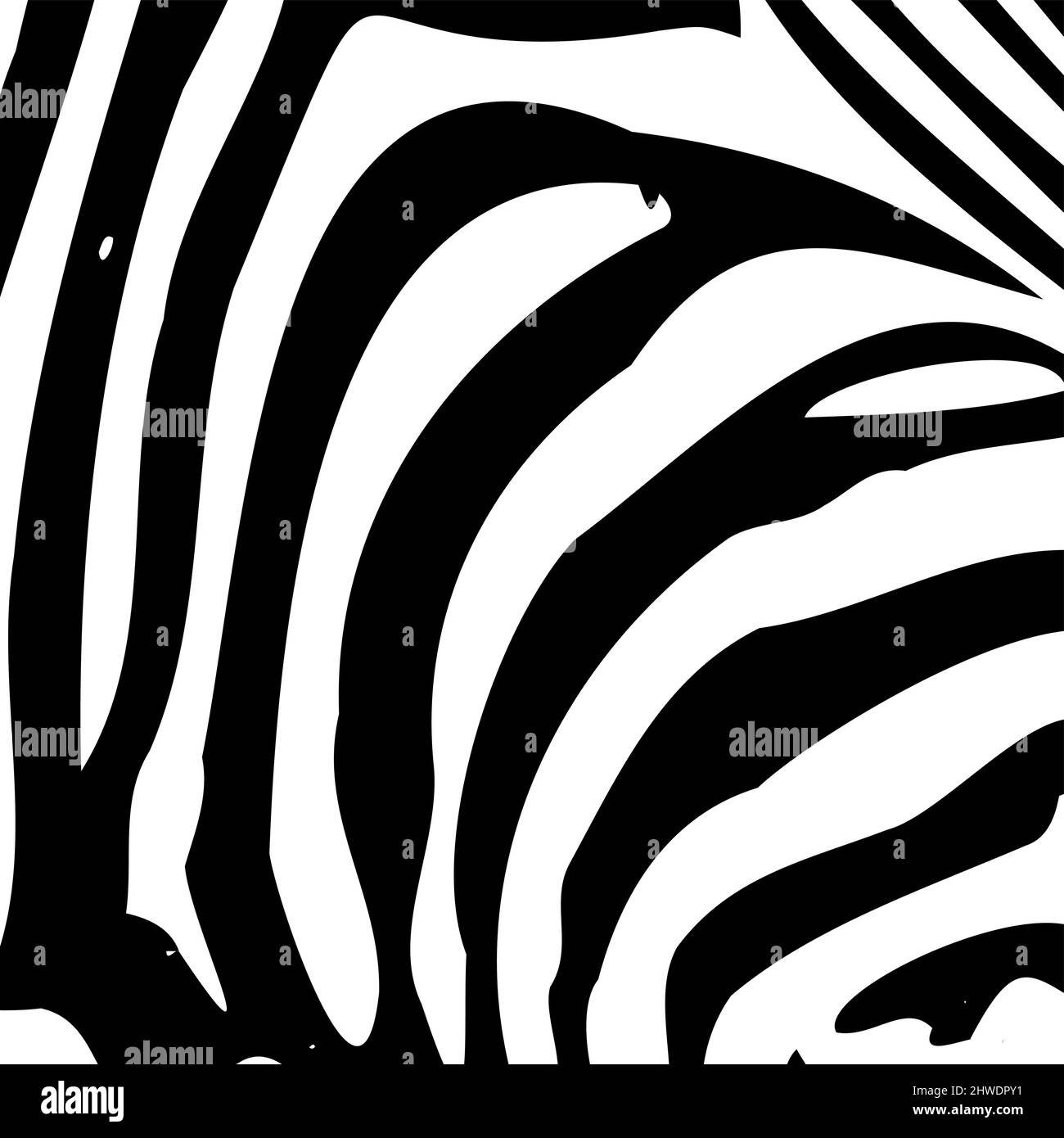Zebra stripes background. Vector illustration Stock Vector Image & Art ...