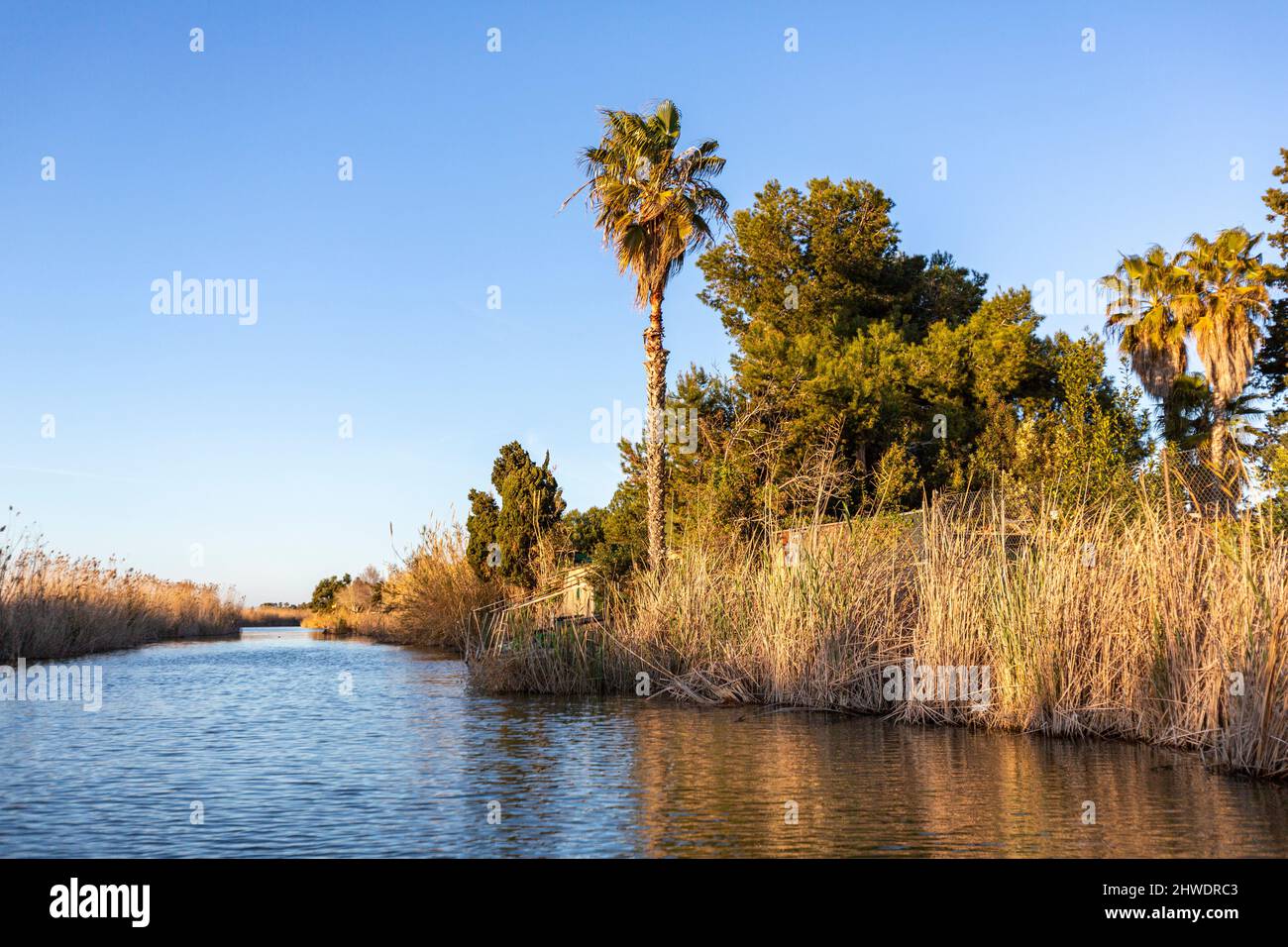 Albufera biodiversity hi-res stock photography and images - Alamy