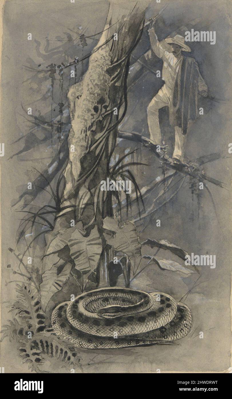 The great serpent hi-res stock photography and images - Alamy