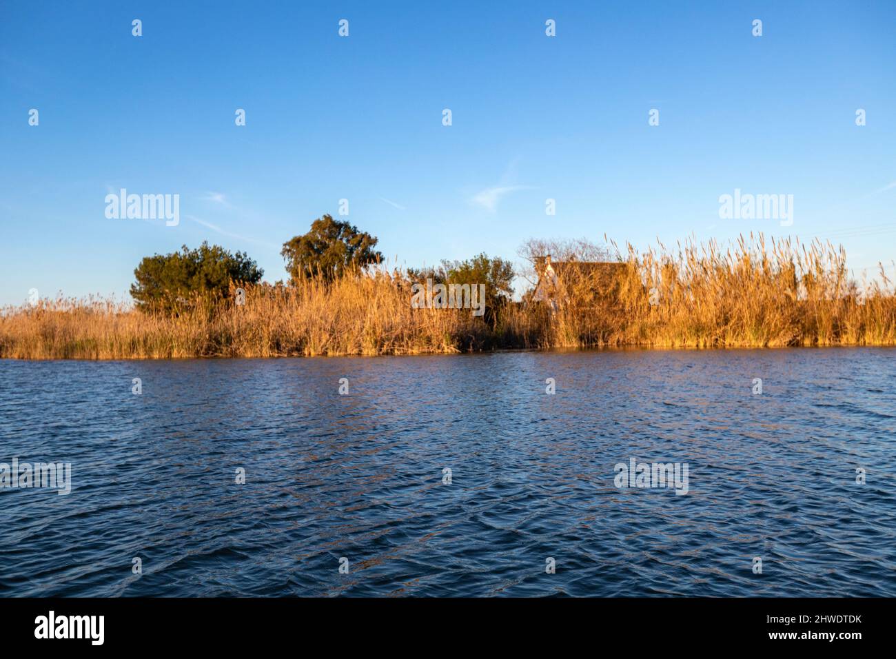 Sunset on the Albufera lagoon. La Albufera, Valencian Community, Spain ...
