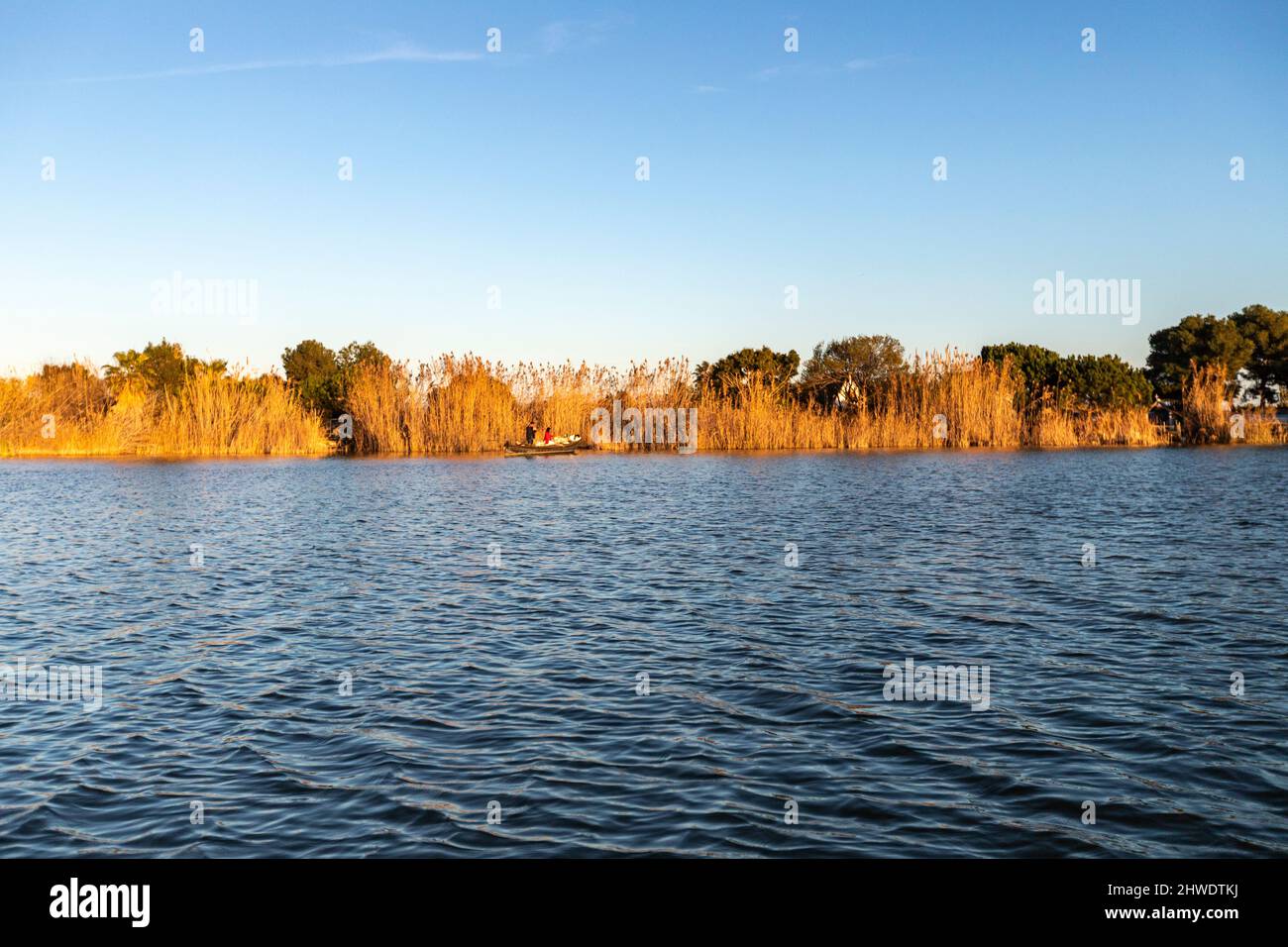 Albufera biodiversity hi-res stock photography and images - Alamy
