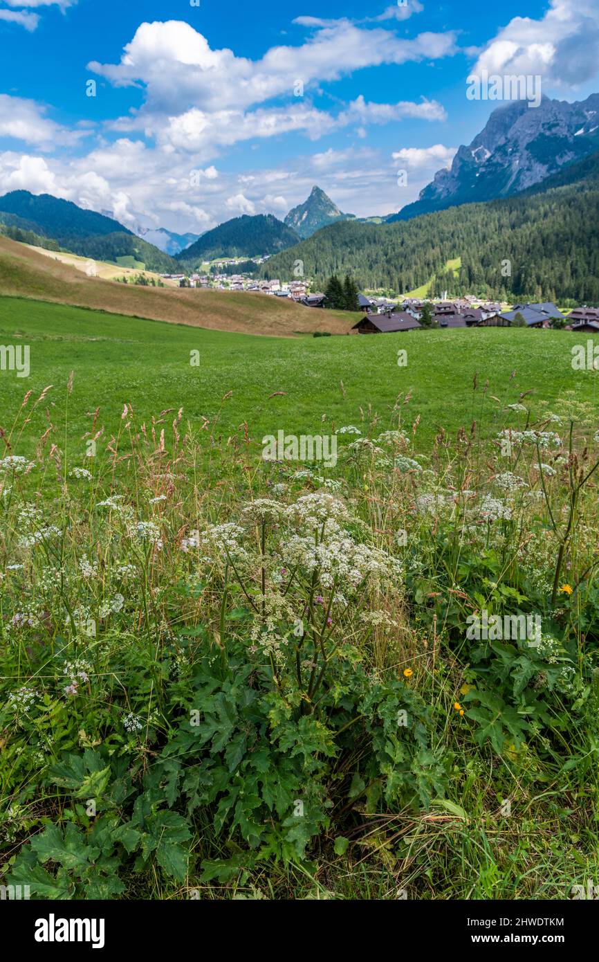 Sappada. Know the woods, the mountains and the villages. Dolomites ...