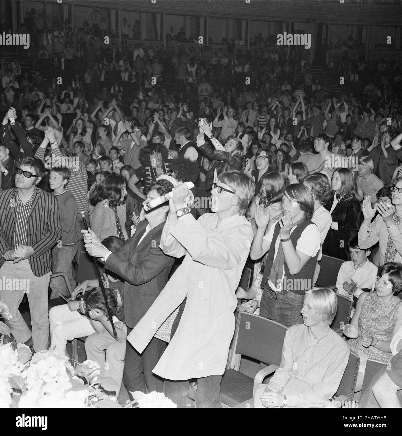 Led Zeppelin Live Crowd
