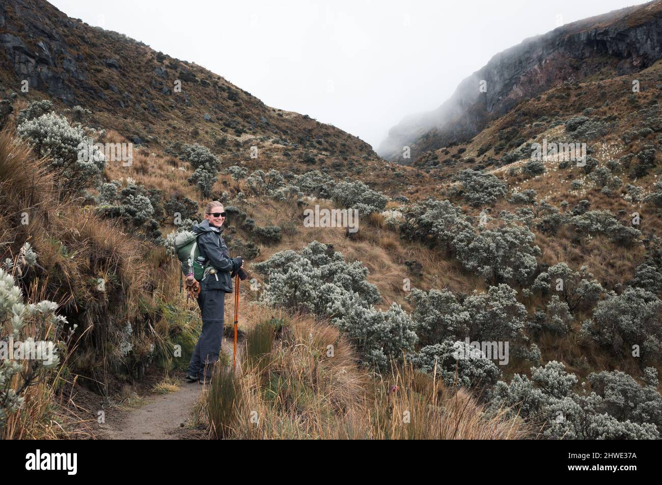 Beautiful female hiker enjoying the view of paramo ecosystem Stock ...