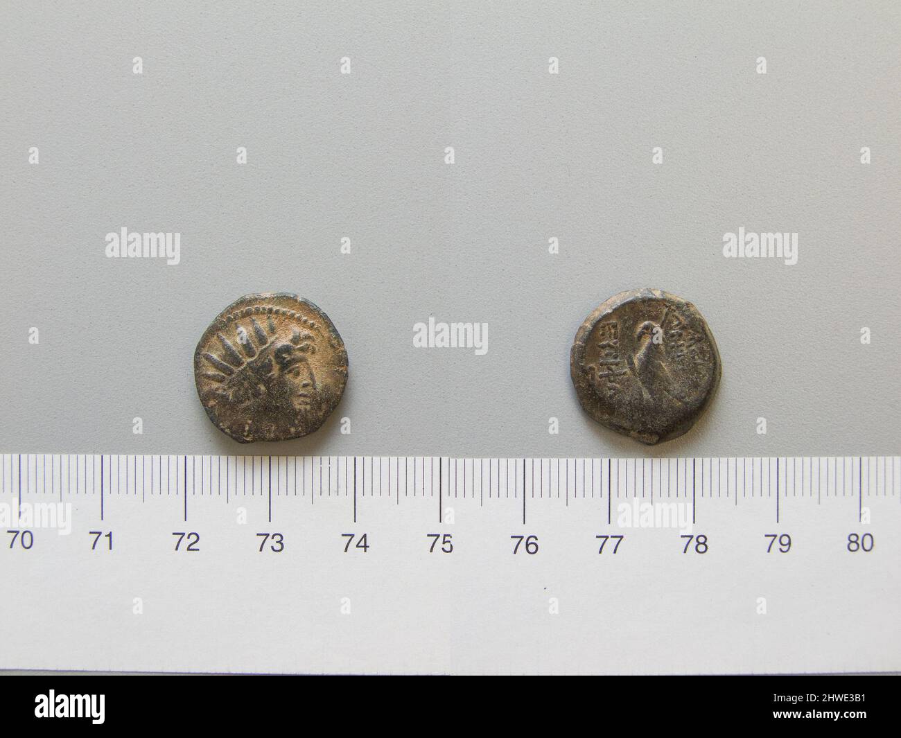 Coin of Antiochus VIII (Grypus), King of the Seleucid Kingdom from ...
