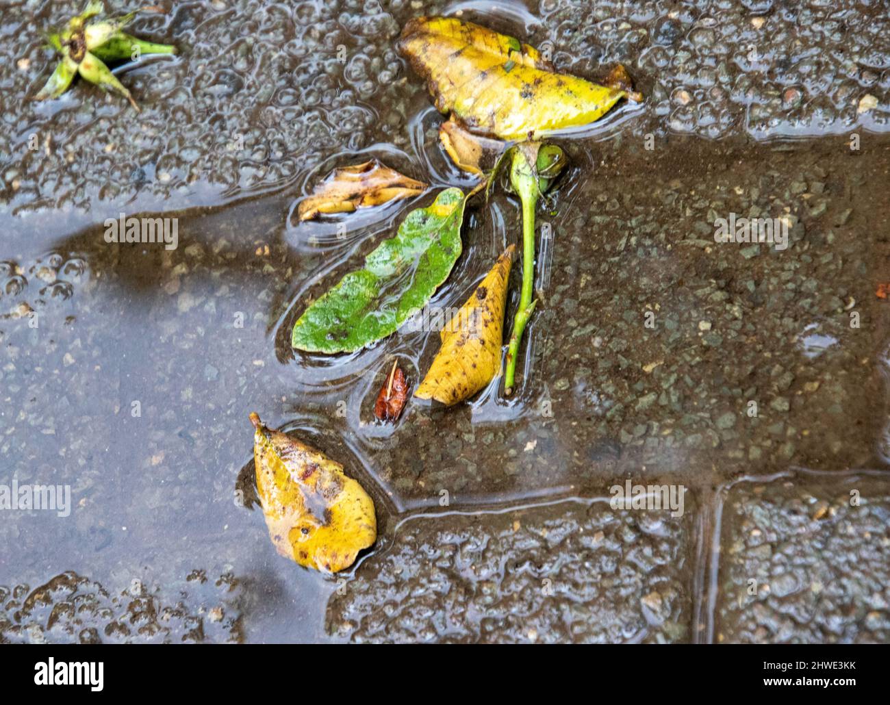 Rain jacket design hi-res stock photography and images - Alamy