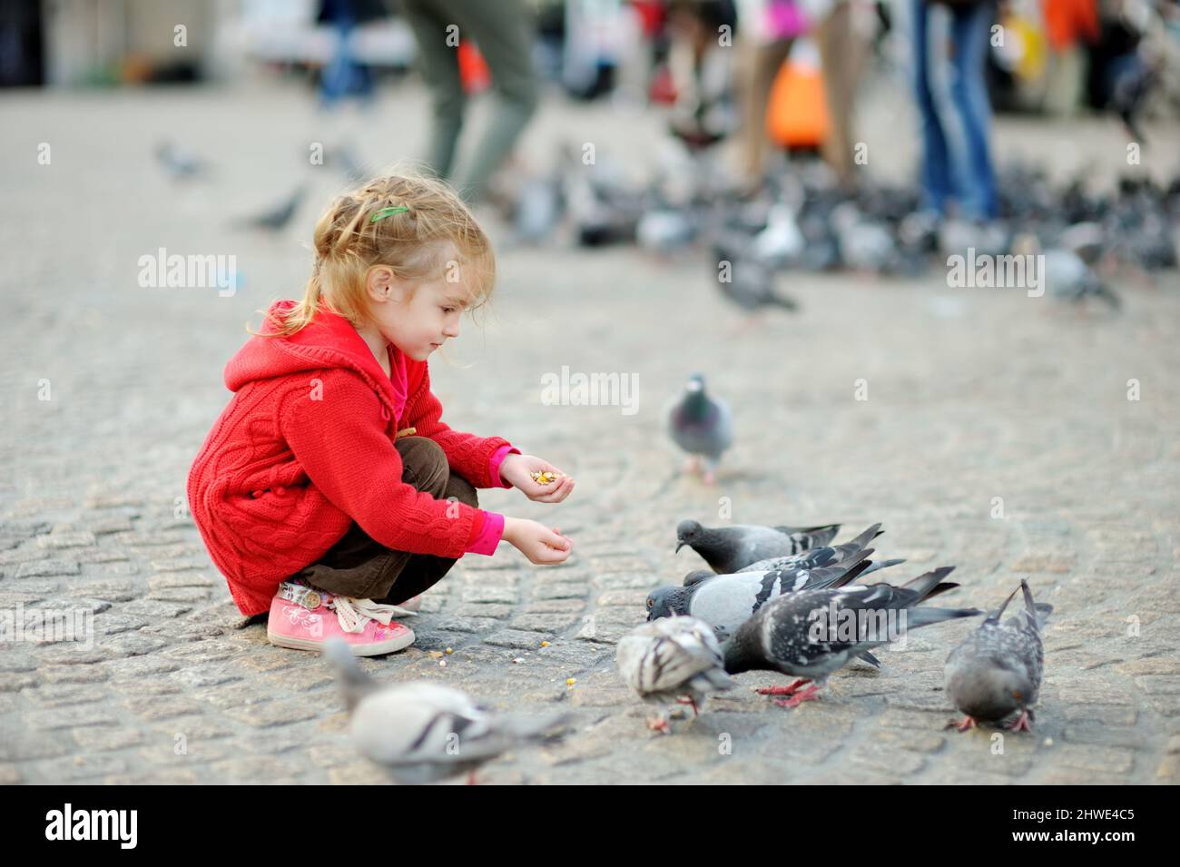 Cute little girl feeding and chasing birds on Dam Square in Amsterdam ...