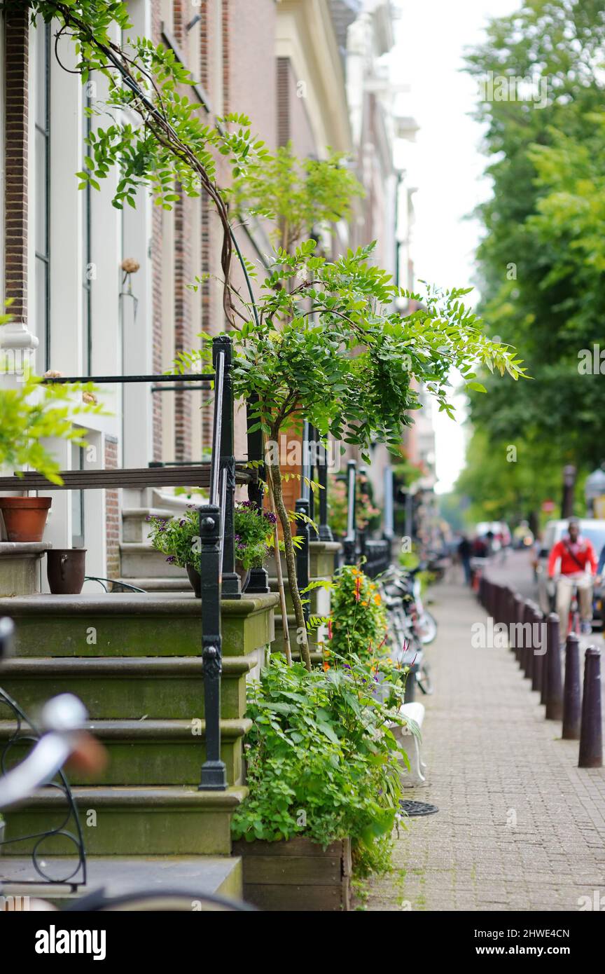 Porch of a house decorated with flower pots and green plants in a ...