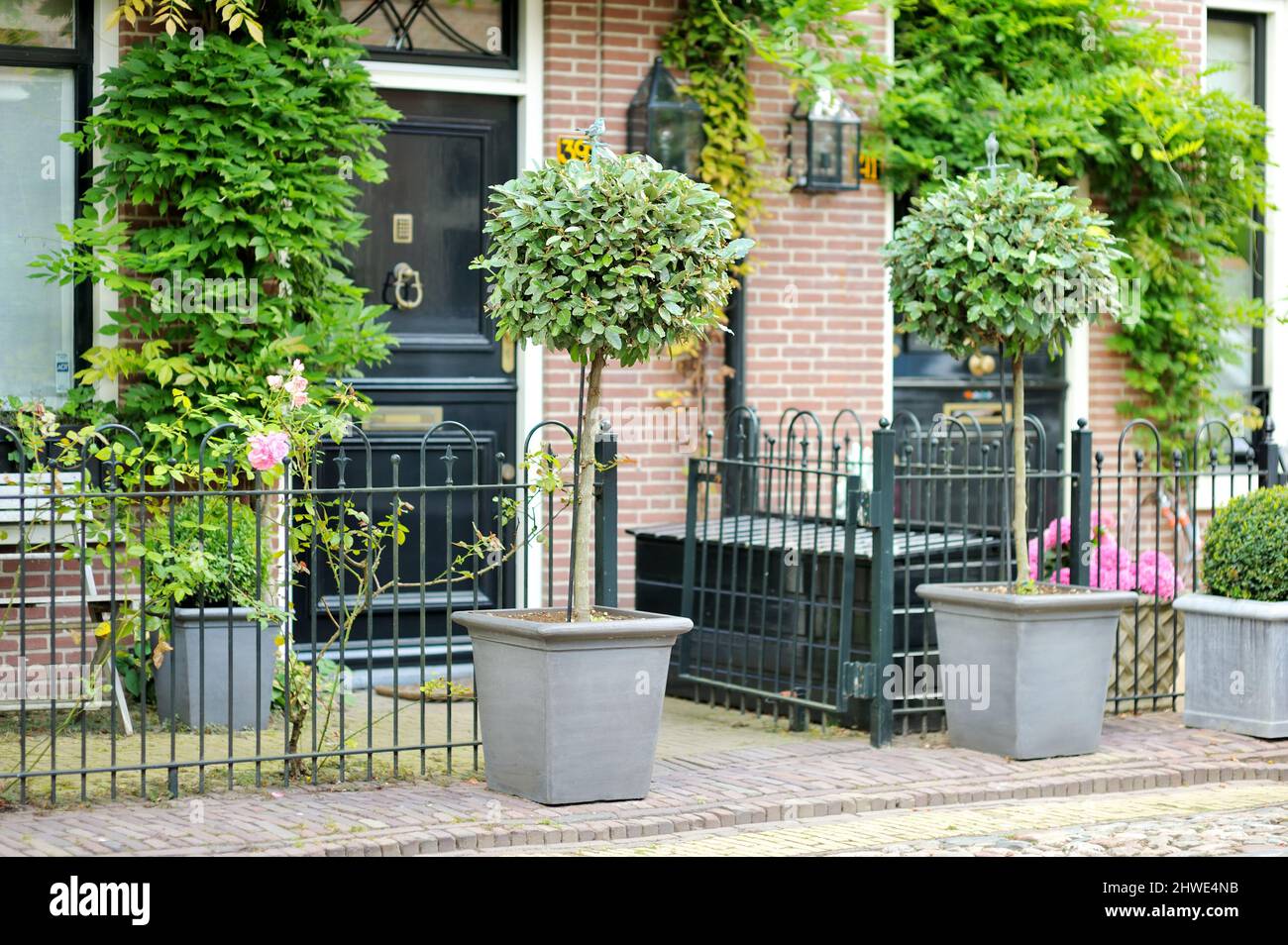 AMSTERDAM - AUGUST 2011: Porch of a house decorated with flower pots ...
