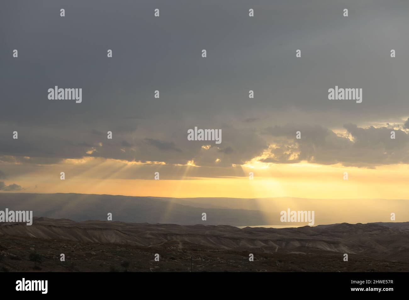 Desert at sunrise sunset hour with dune buggy tires tracks in the sand ...
