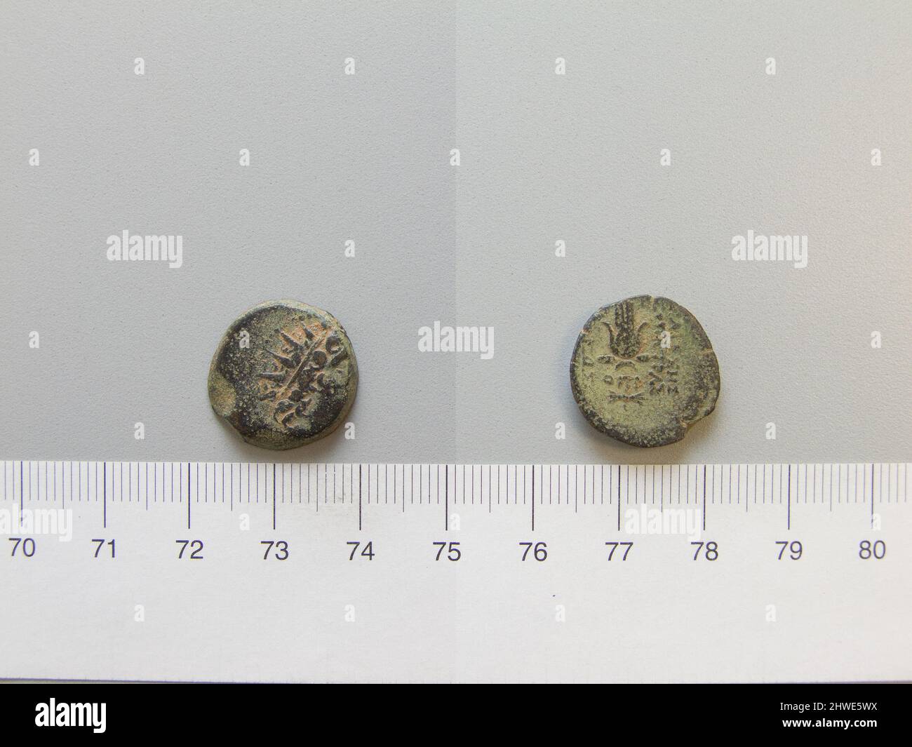 Coin of Antiochus VIII (Grypus), King of the Seleucid Kingdom ...