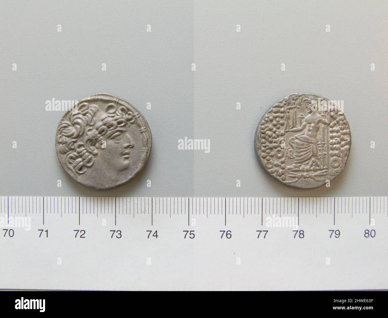 Philadelphus philip i hi-res stock photography and images - Alamy