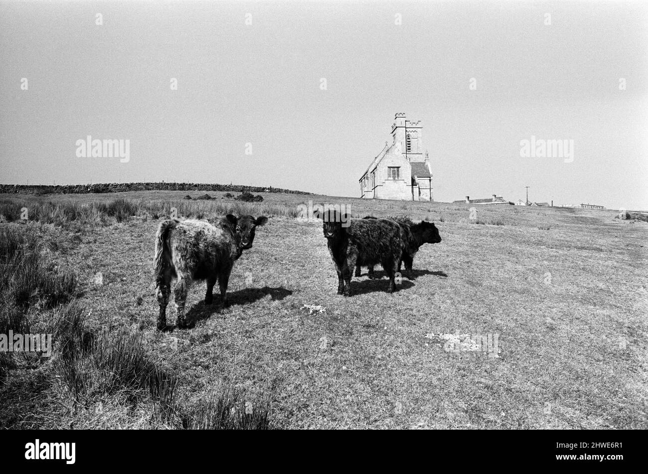 General scenes on Lundy Island. Lundy is the largest island in the ...