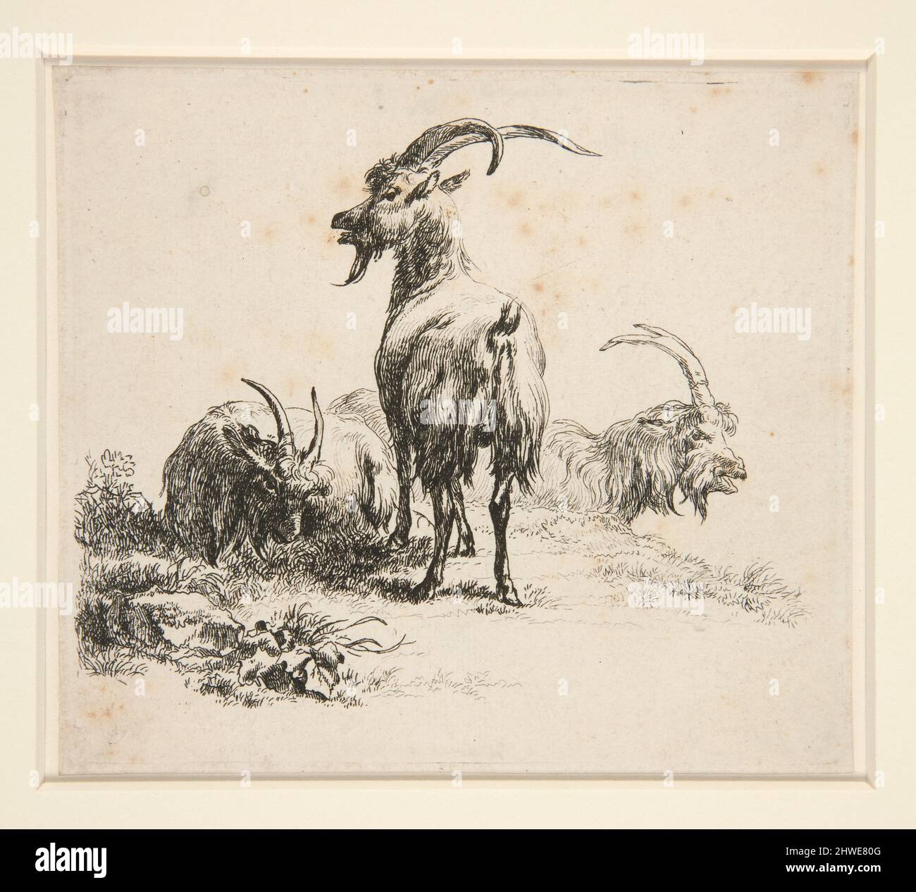 Three Goats (from “A Man’s Sketchbook,” a suite of eight prints ...