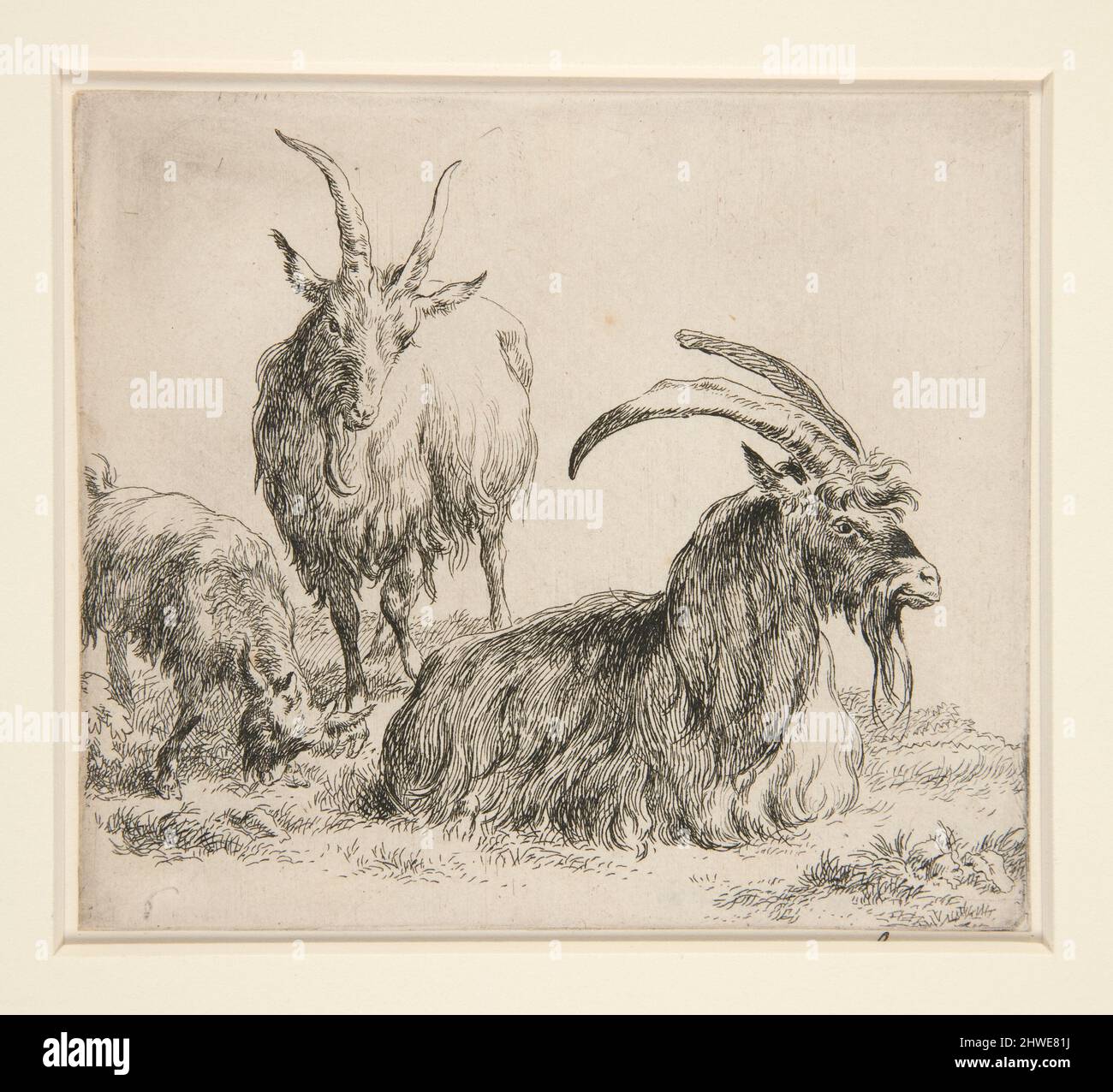 Two Goats and a Kid (from “A Man’s Sketchbook,” a suite of eight prints ...