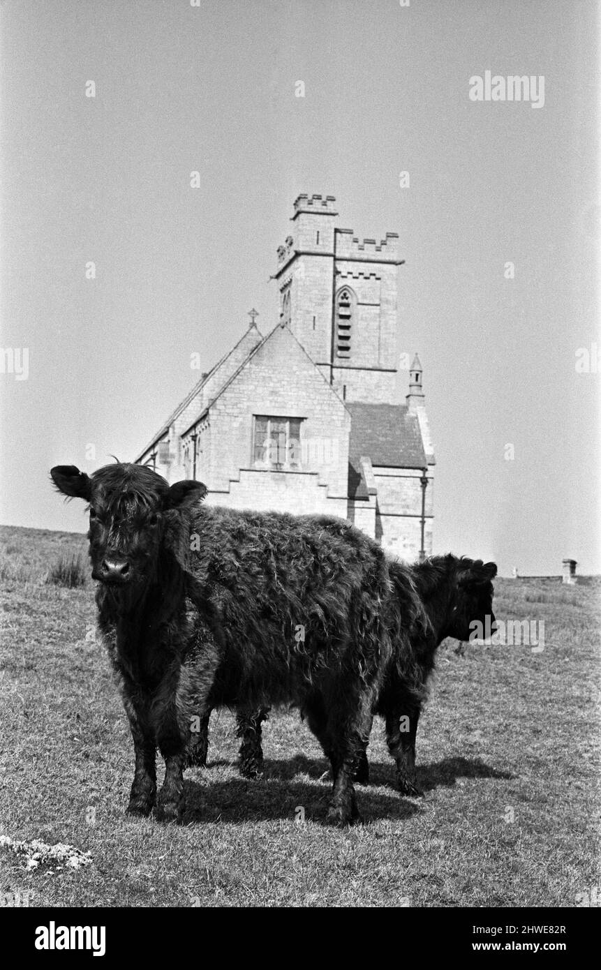 General scenes on Lundy Island. Lundy is the largest island in the ...