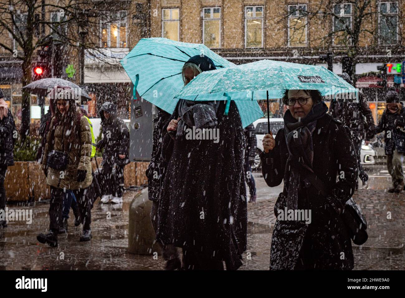 Aarhus Denmark Snow falling with two friends walk wit umbrellas Stock ...