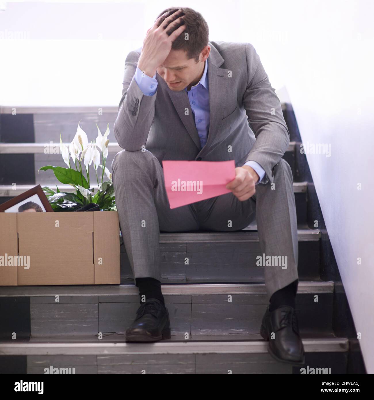 Hes been pink-slipped. Shot of a despondent businessman holding a pink ...