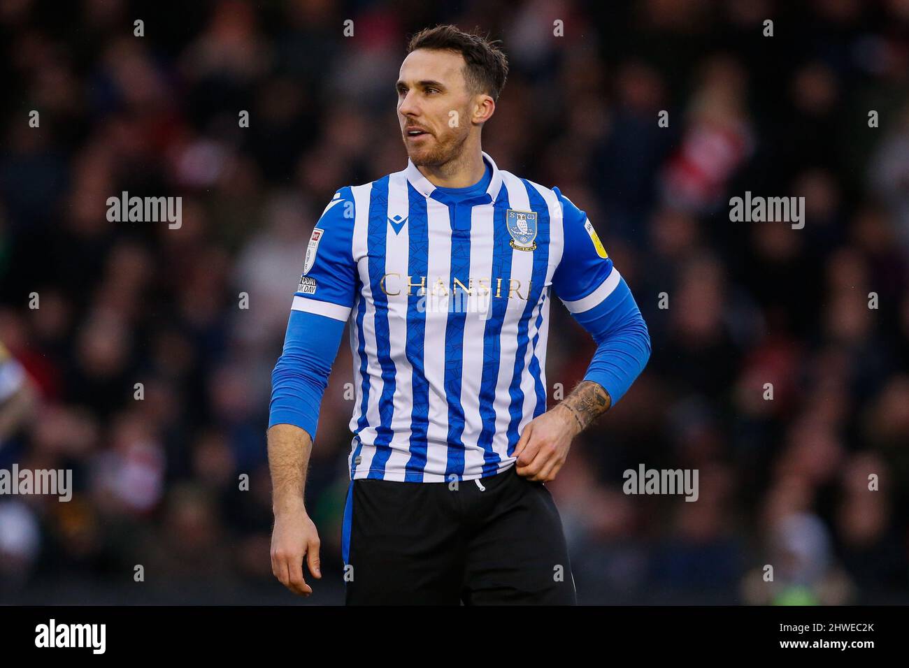 Lee Gregory #9 of Sheffield Wednesday Stock Photo - Alamy
