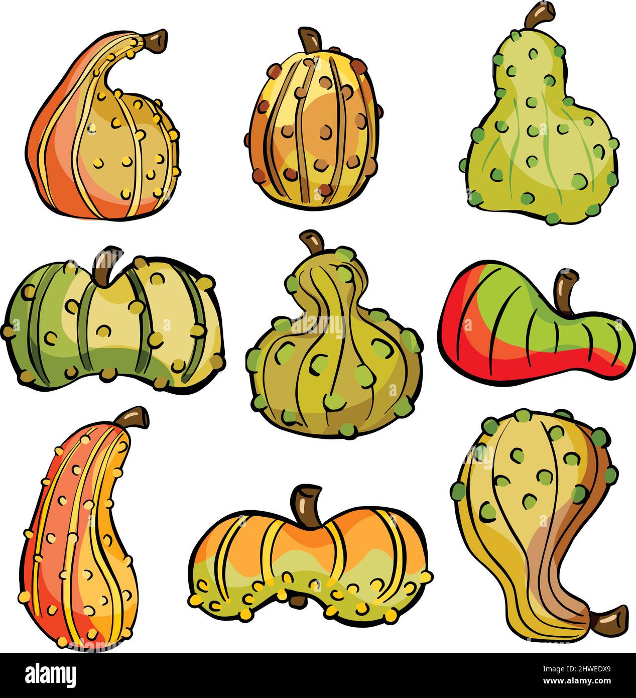 Decorative Garden Gourd Pumpkin for Harvest Celebration Illustrations ...