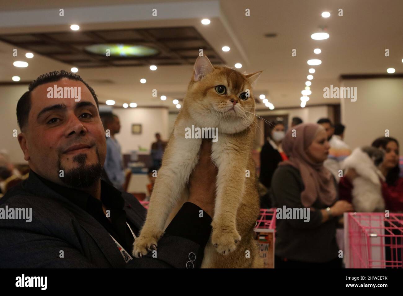 Amman, Jordan. 5th Mar, 2022. A judge shows off the prize-winning cat ...