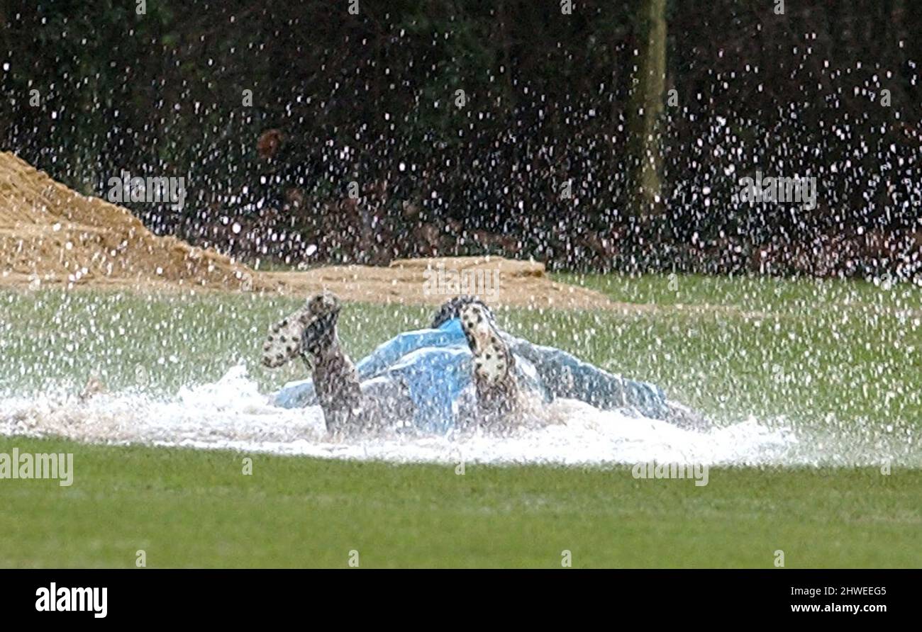 PORTSMOUTH GOALKEEPER SHAKA HISLOP MAKES A SPLASH AT THE PORTSMOUTH ...