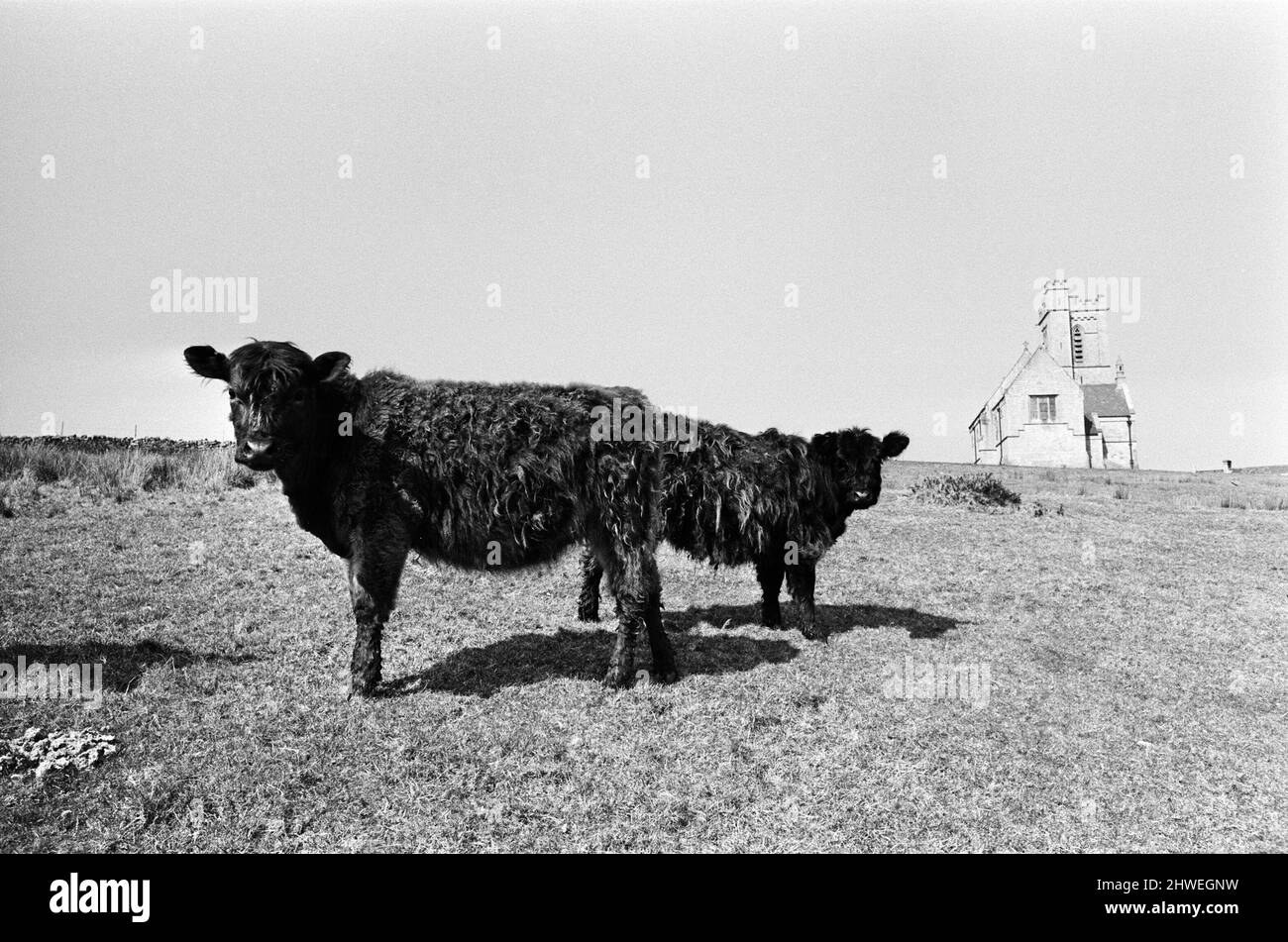 General scenes on Lundy Island. Lundy is the largest island in the ...