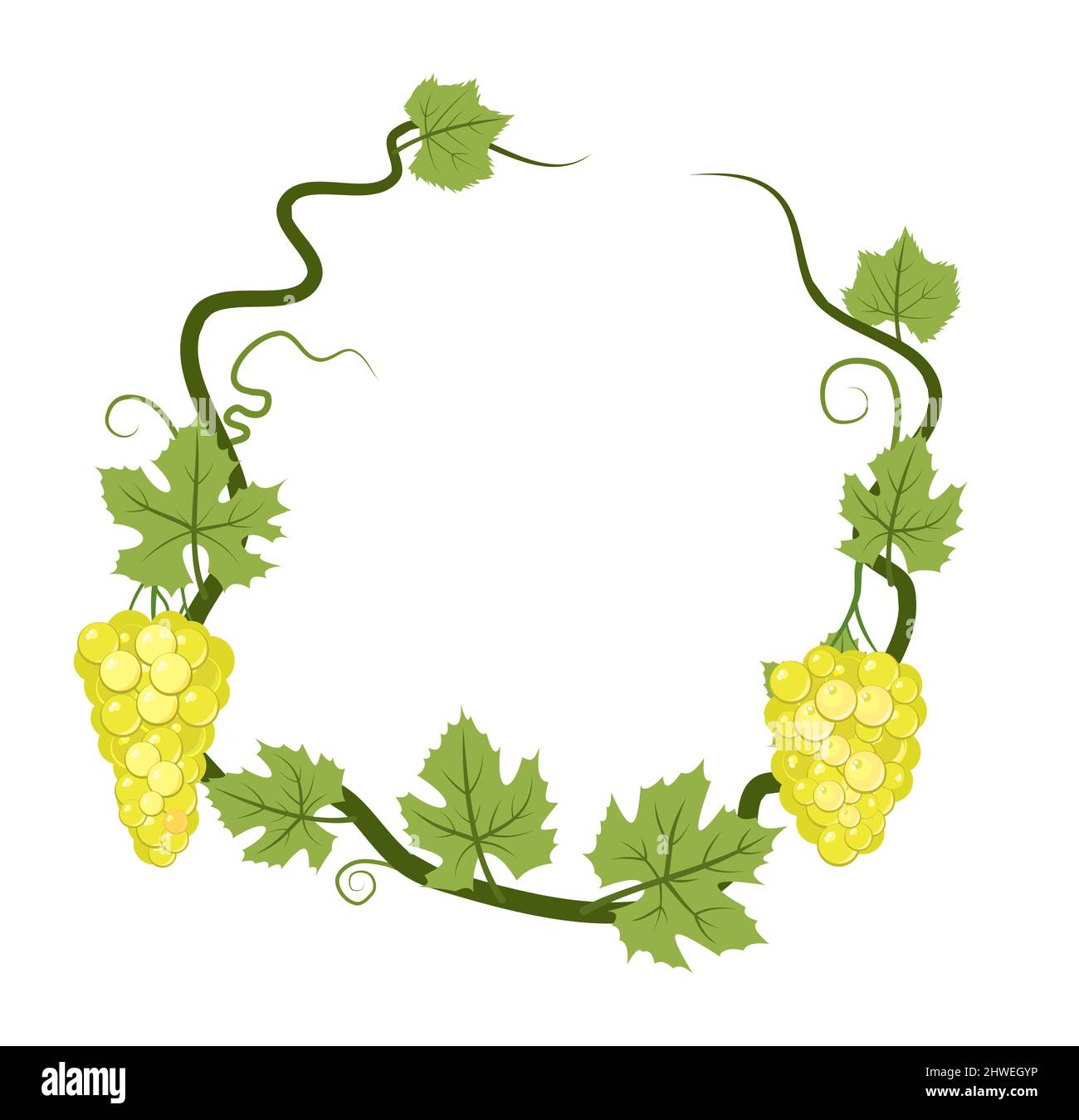 Round Frame. Vine with foliage and bunches of grapes. Viticulture and ... Round Frame. Vine with foliage and bunches of grapes. Viticulture and ...