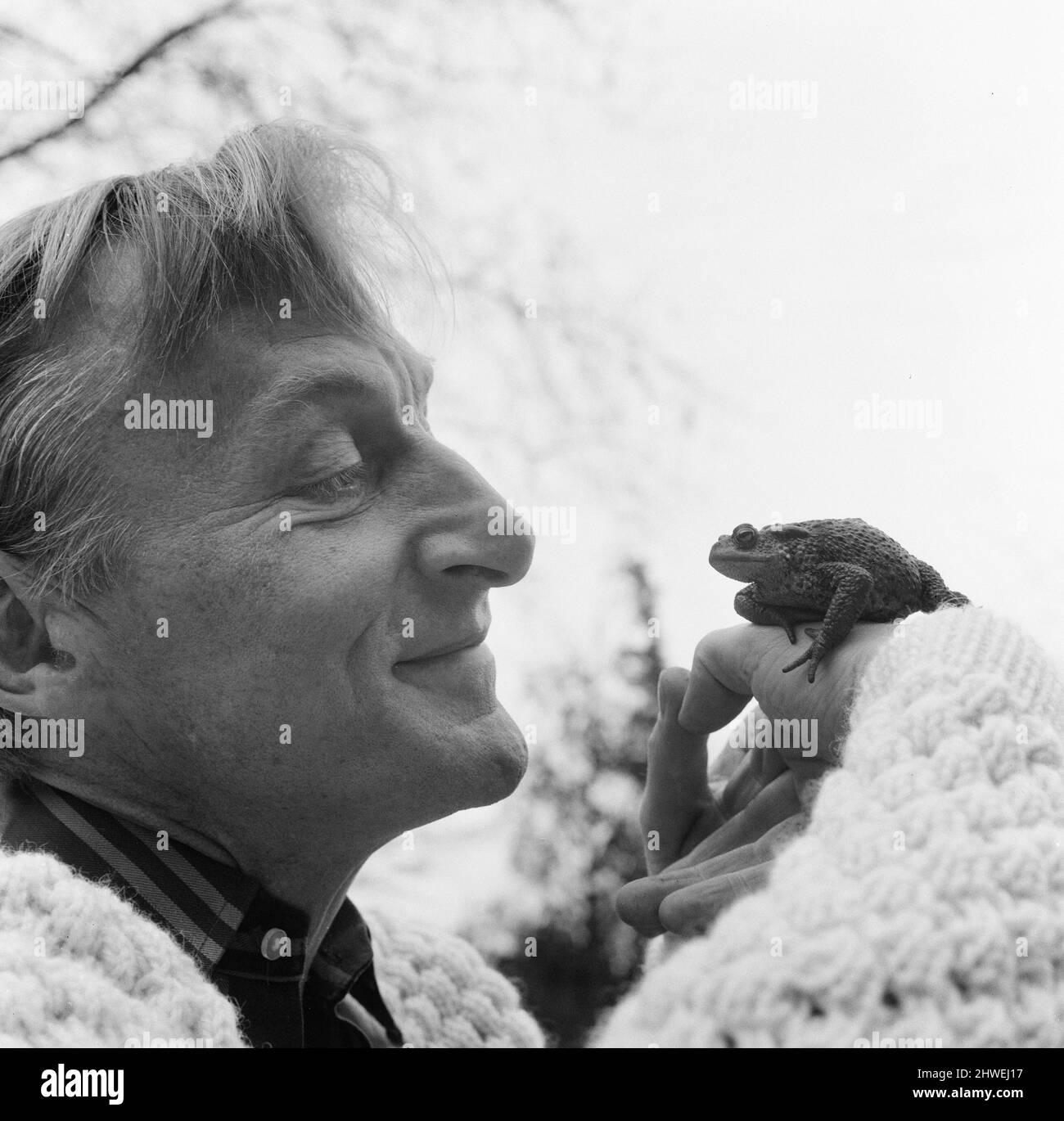 Catweasel and Stoats, new LWT Children's television series, starring ...