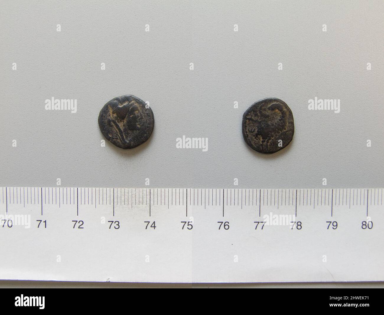 Artifact law hi-res stock photography and images - Alamy