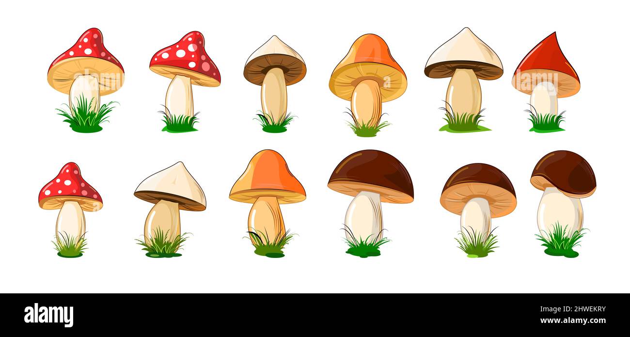 Set of different colored mushrooms in cartoon style. Objects isolated ...