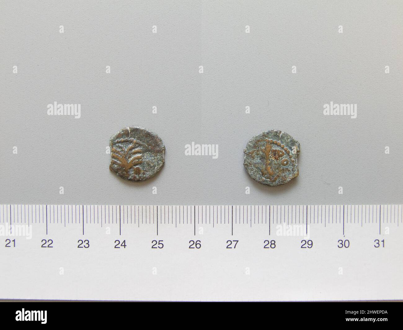 Prefect of rome hi-res stock photography and images - Alamy