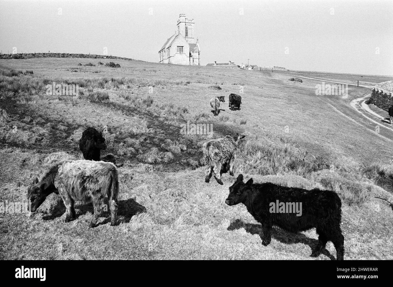 General scenes on Lundy Island. Lundy is the largest island in the ...