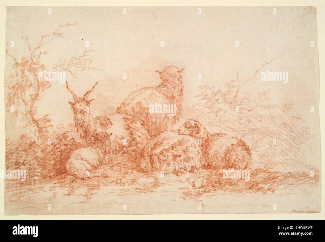 Sheep and Goat Resting. Artist: Simon van der Does, Dutch, 1653/54–1718 ...